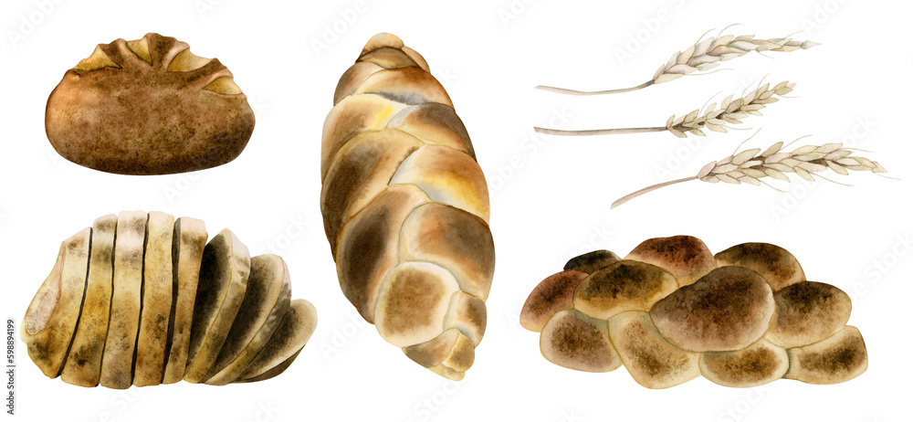 Watercolor various bread types illustration set isolated on white ...