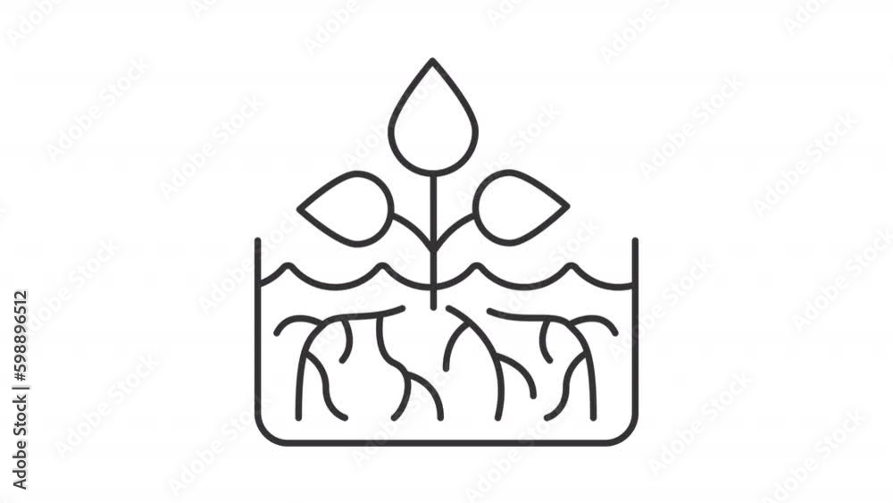 Root plant cutting line animation. Animated roots growing in water ...