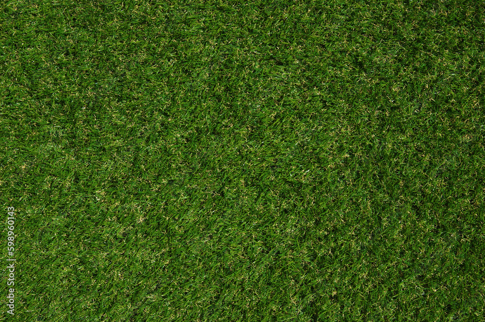 Green grass background Stock Photo | Adobe Stock