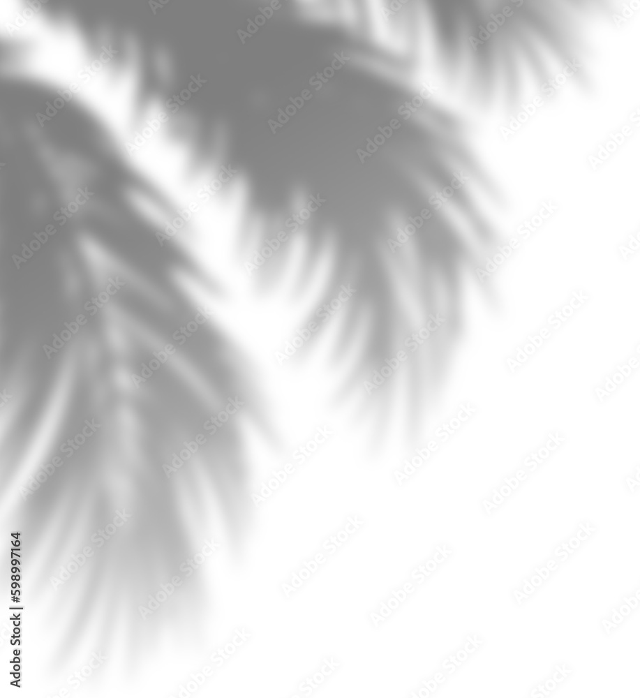 Shadow overlay effect transparent background. Abstract sunlight ...