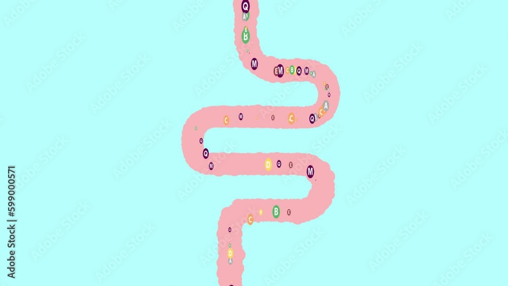 Human small intestine anatomy icon. flat cartoon style. bright and cute ...