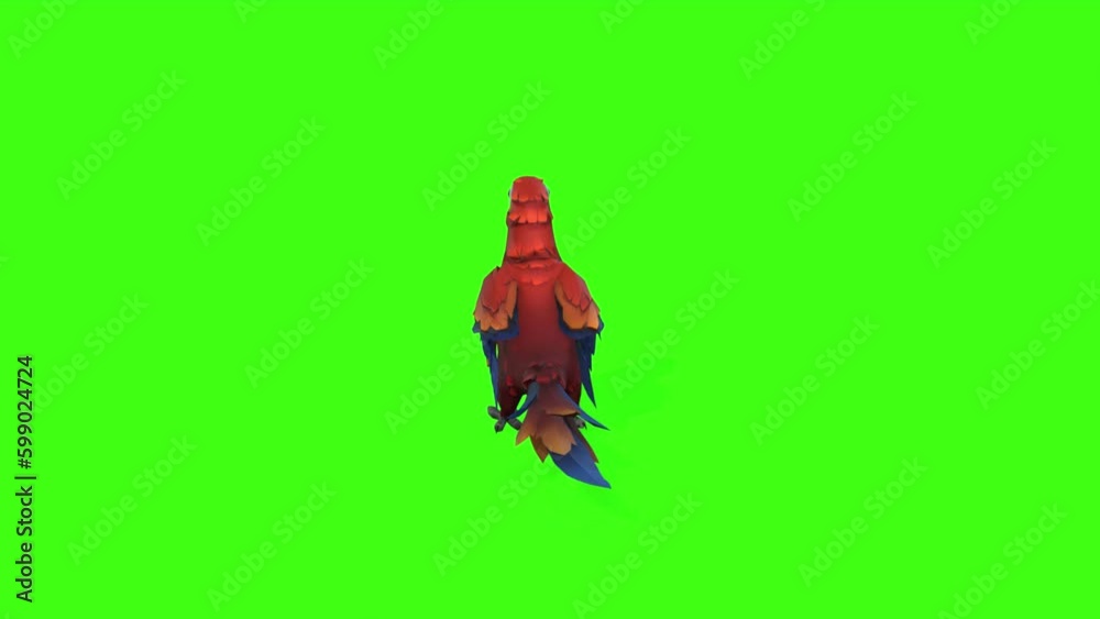 back view of a red macaw parrot dancing 3d animation across a green ...