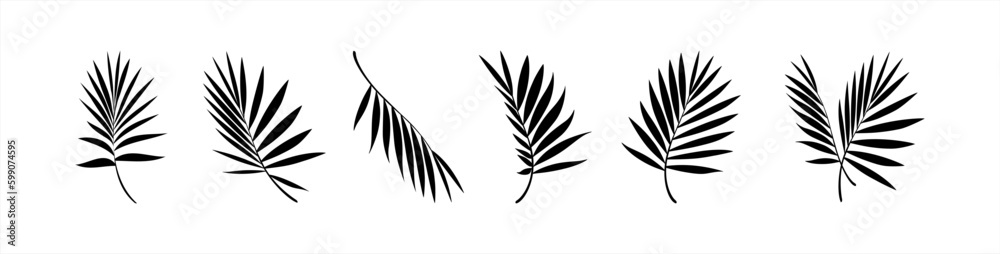Beautiful palm tree leaf set silhouette background vector illustration ...