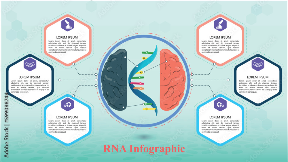 Biological Infographic design with RNA and Brain at the middle and 6 ...