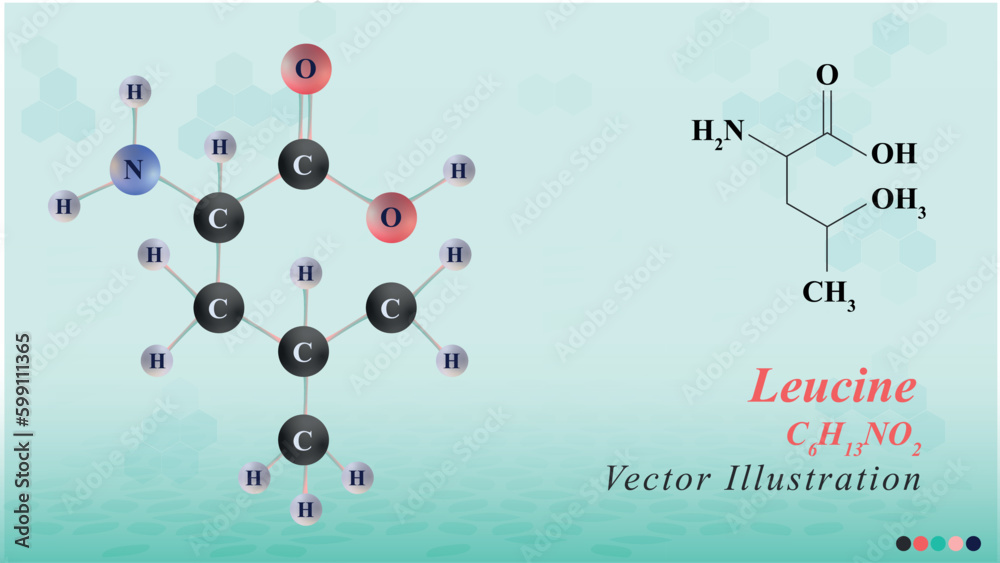 Leucine Molecule Structure chemical vector illustration Stock Vector ...