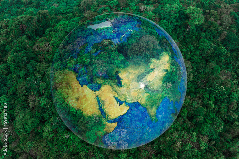 Aerial view of the green forest against the land. Demonstrates the ...