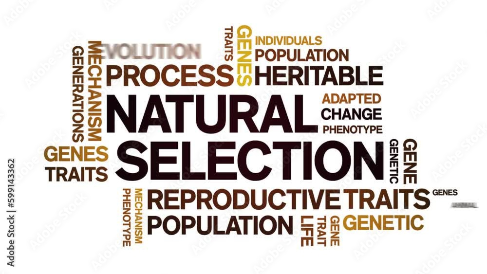 Natural Selection animated tag word cloud;text design animation kinetic ...
