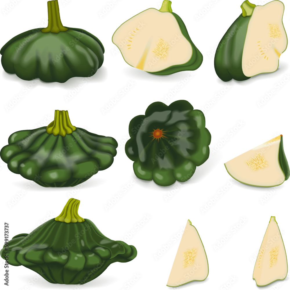 Set with whole, half, quarter, slices of Green Patty Pan squash or ...