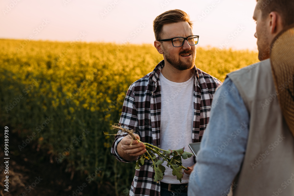 Foto de Two brothers are standing in the field and talking about family ...