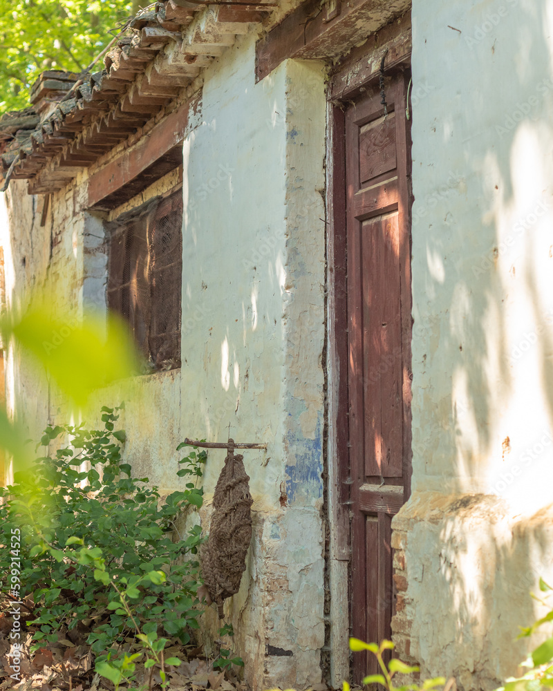 depicts the facade of an abandoned house in the midst of nature, with ...
