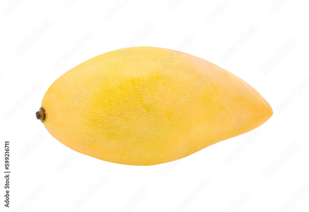Yellow mango isolated transparent png Stock Photo | Adobe Stock