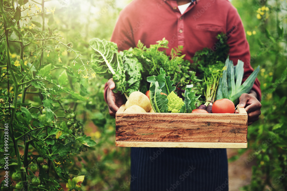 These are ready to go. an unrecognizable male farmer carrying a crate ...