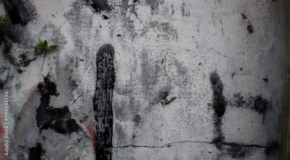 Walls are an important element that plays a role in maintaining the ...