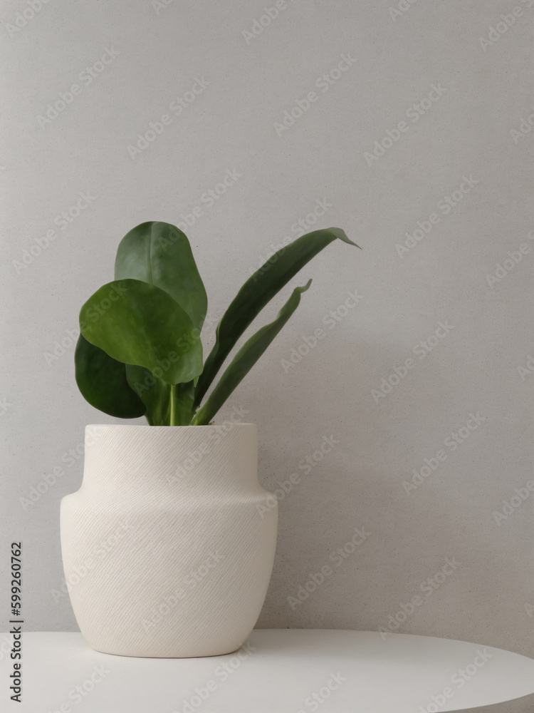 simple background empty wall. ai generated. minimal decoration interior ...