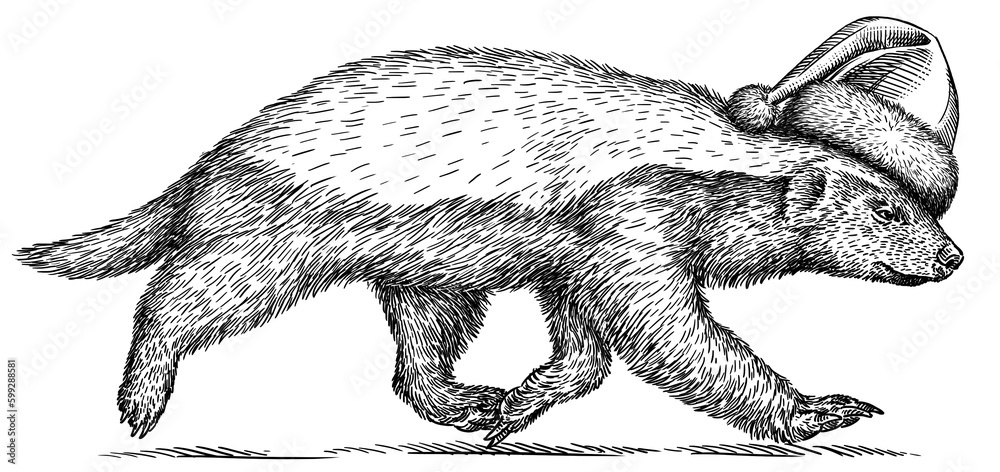Vintage engraving isolated honey badger set dressed christmas ...