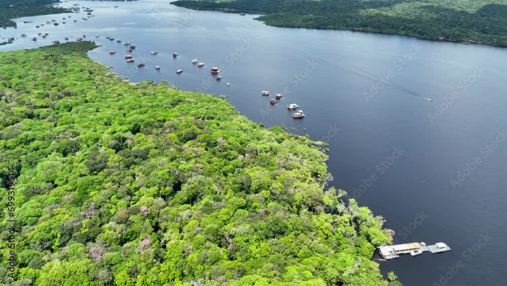 Amazon Forest At Manaus Amazonas Brazil. Riverside Rivers. Forest ...