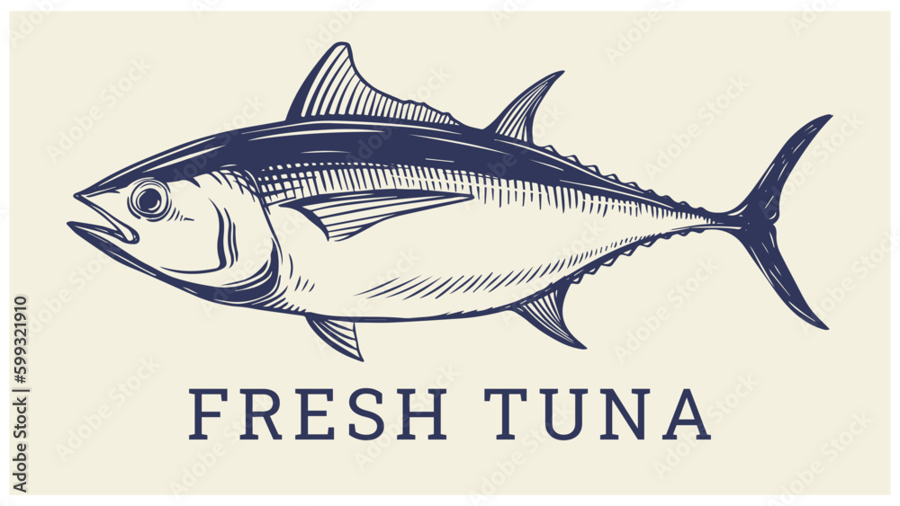 Big tuna fish hand drawing vector illustration for logo design ...