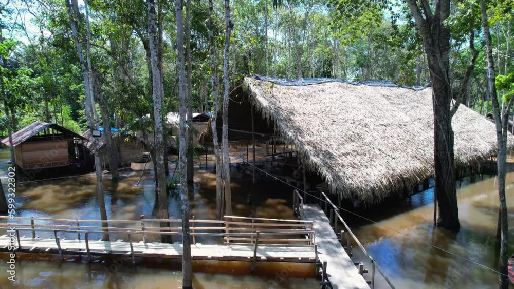 Aboriginal Indian Tribe At Manaus Amazonas Brazil. Forest Landscape ...
