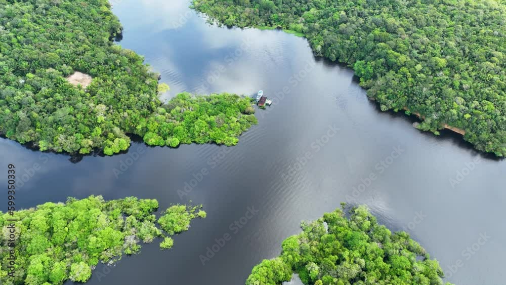 Amazonian Rainforest At Manaus Amazonas Brazil. Riverside River ...