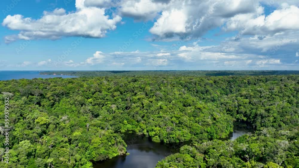 Amazonian River At Manaus Amazonas Brazil. Forest Landscape Field ...