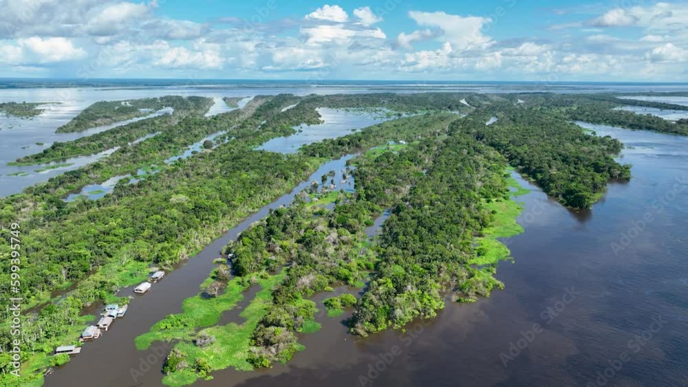 Stockvideon Amazonian Forest At Manaus Amazonas Brazil. Riverside ...