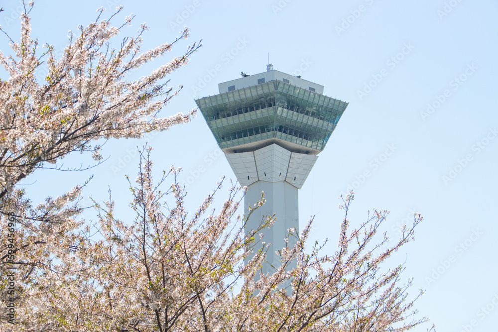 Beautiful Spring landscape of Goryokaku Tower surrounding with full of ...