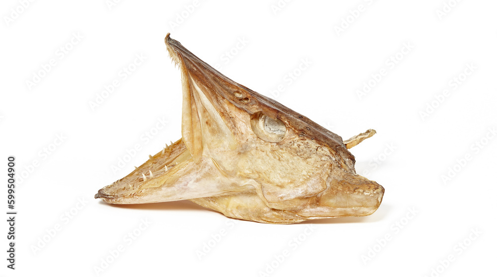 Dried pike head isolated on white background. Pike head with open mouth ...