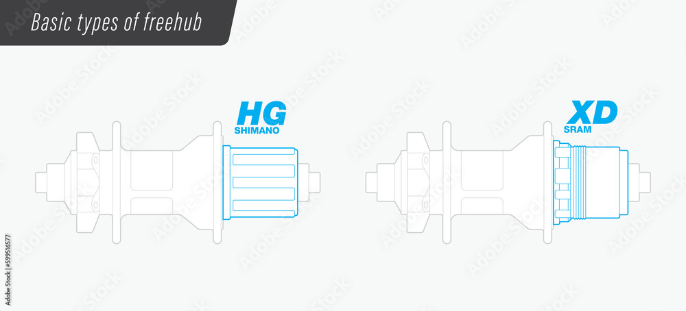 Vector infographic, basic types of freehub body on an MTB bicycle ...