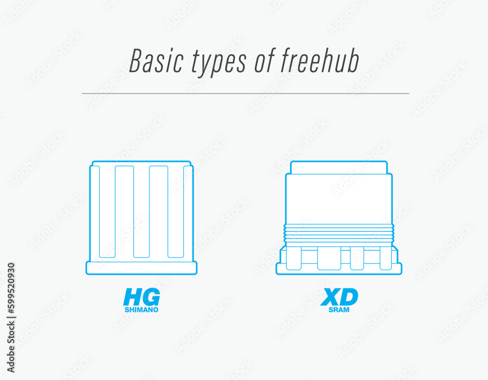 Vector infographic, two basic types of freehub body on an MTB bicycle ...
