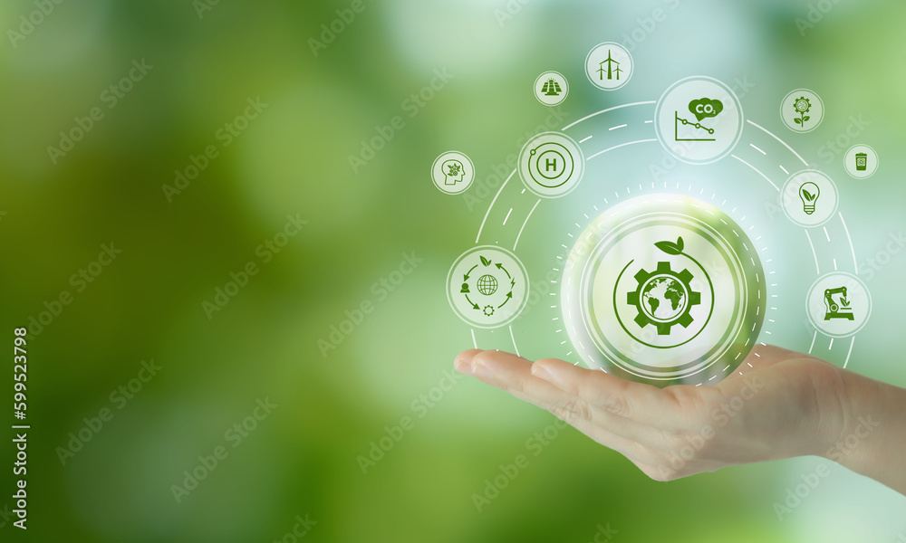 Natural climate solutions concept. Action for avoid greenhouse gas ...