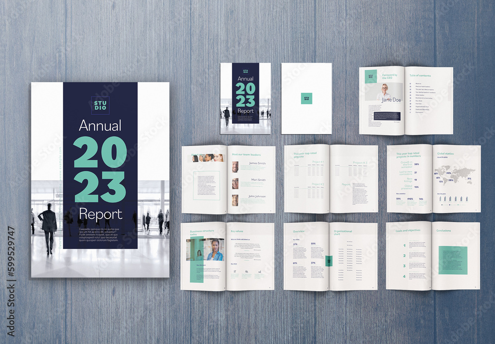Business Annual Report Layout Stock Template | Adobe Stock