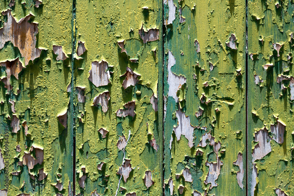 Peeled off paint on a shabby wooden surface at a lost place ruined ...