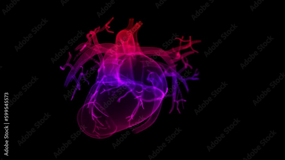 Human Circulatory System Heart Beat Anatomy Animation Concept.Motion ...