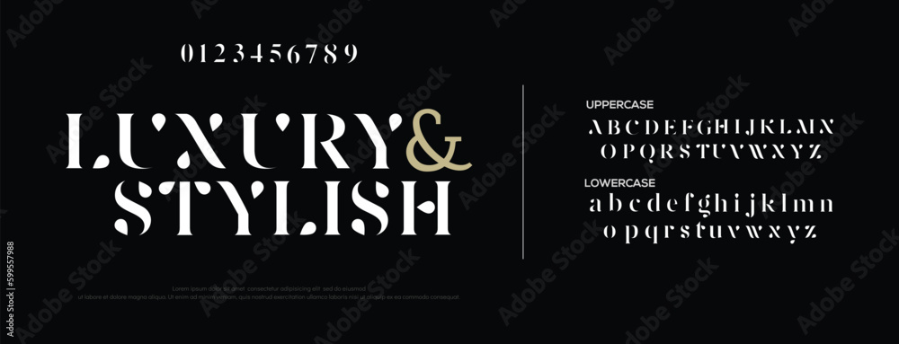 vector illustration. Stylish elegant vector composite font. set of ...