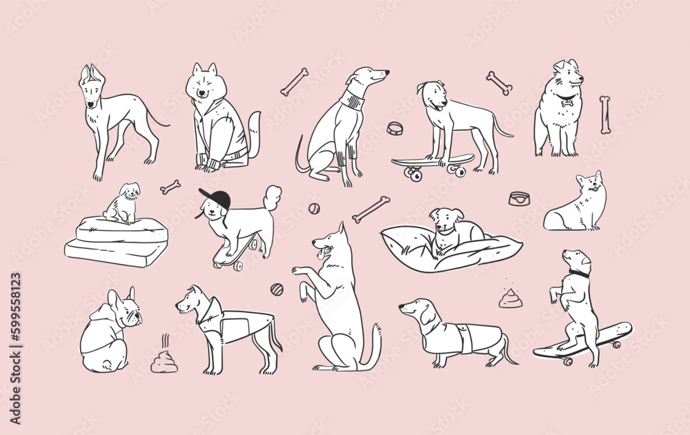 Hand drawn vector abstract graphic line collection set with diverse ...