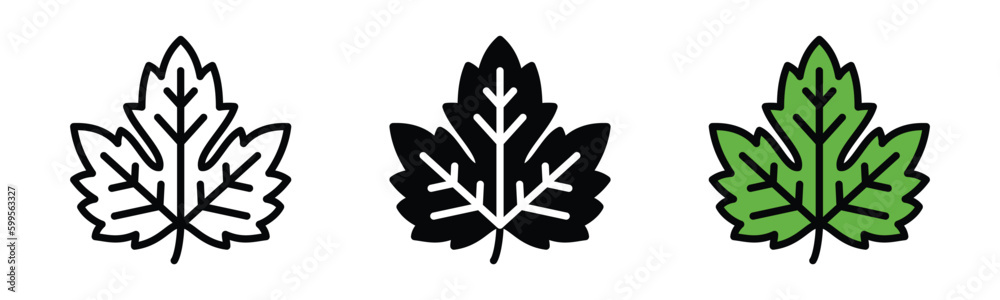 Hop leaf icon vector. Maple or hops leaf icons in line, flat, and color ...