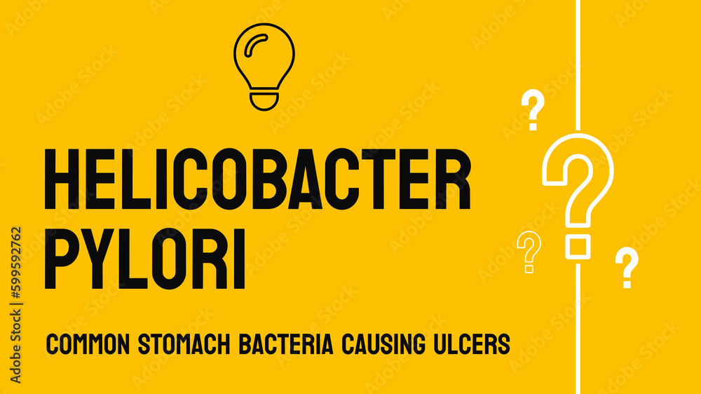 Helicobacter Pylori - Bacterial infection causing digestive issues ...