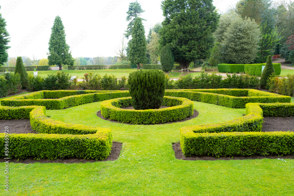 Ornate and well kept garden maze seen at a once stately home now a ...