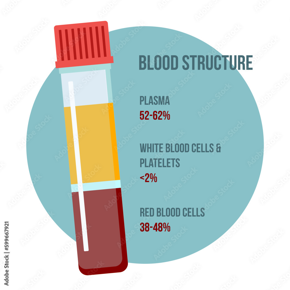 Vector scientific icon structure and components of blood. Illustration ...