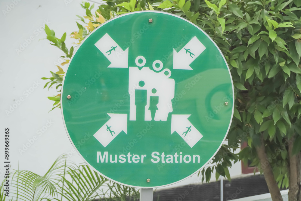 Photo of green assembly point signboard isolated with tree background ...