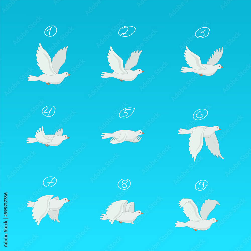 Pigeon animation. Bird animation, nine key frames. Pigeons isolated on ...