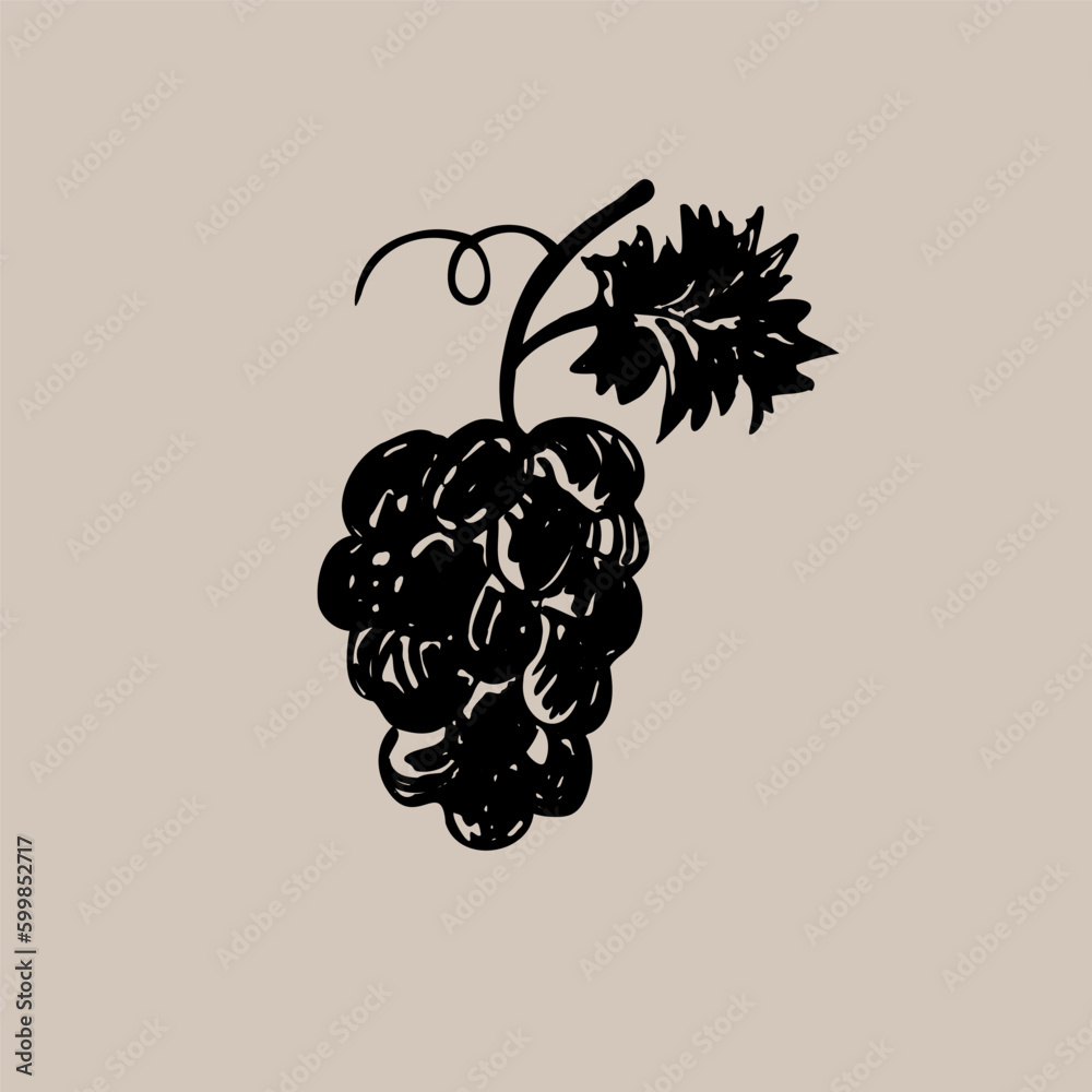 Grape. Handmade imitation of a dry brush vine. Abstract fruit drawing ...