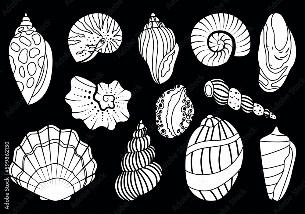 Sea shell sink silhouette set. Ocean exotic underwater seashell conch ...