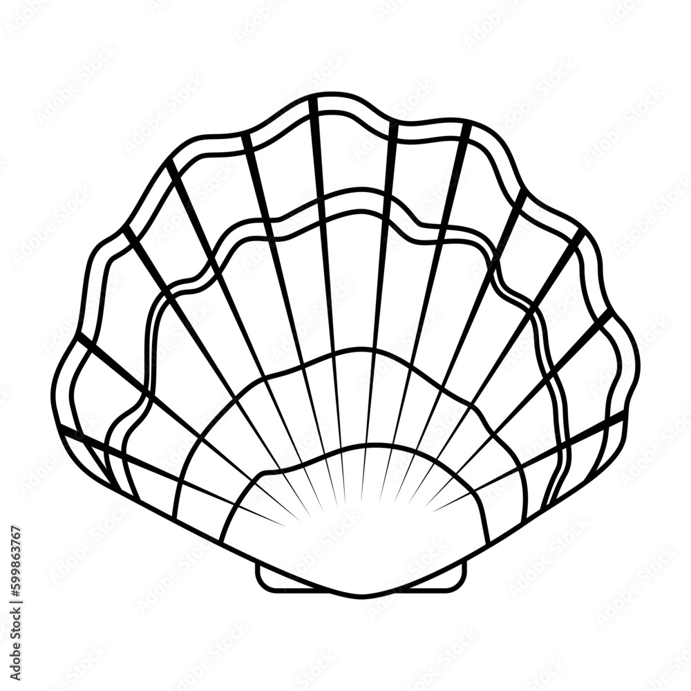 Sea shell sink outline set. Ocean exotic underwater seashell conch ...