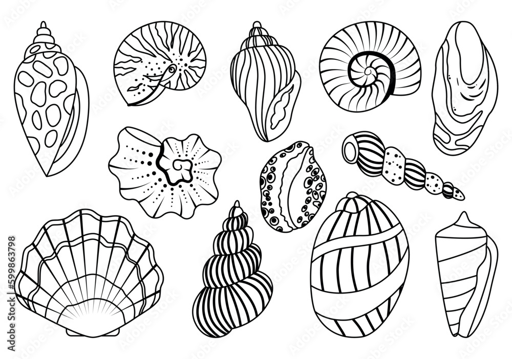 Sea shell sink outline set. Ocean exotic underwater seashell conch ...