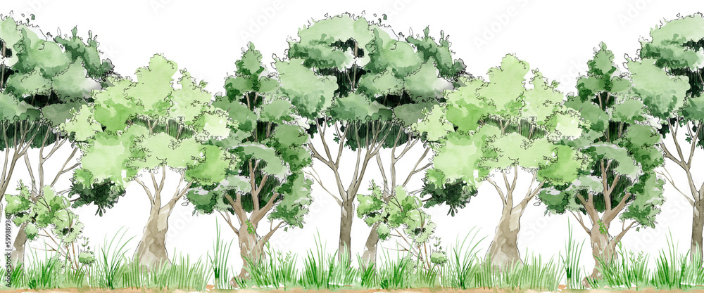 Green tree watercolor illustration, Hand drawn leafy and evergreen tree ...