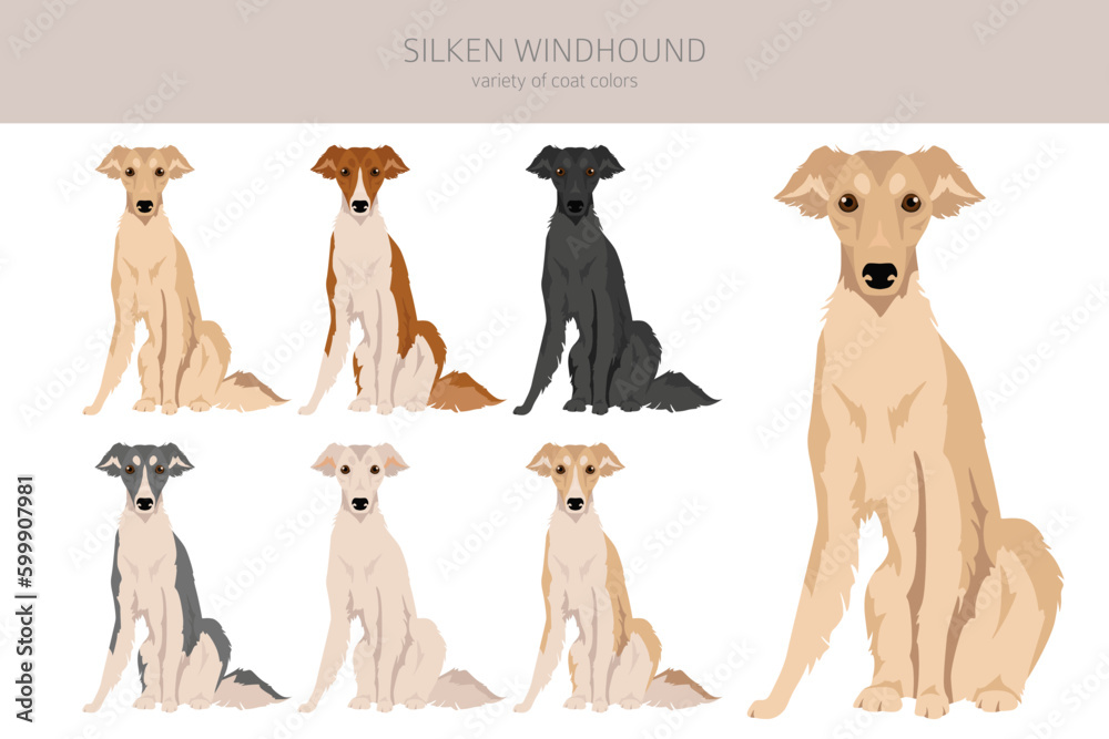 Silken Windhound clipart. All coat colors set. All dog breeds ...