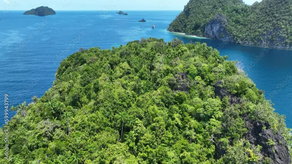 Fringing coral reefs grow around the forest-covered limestone islands ...