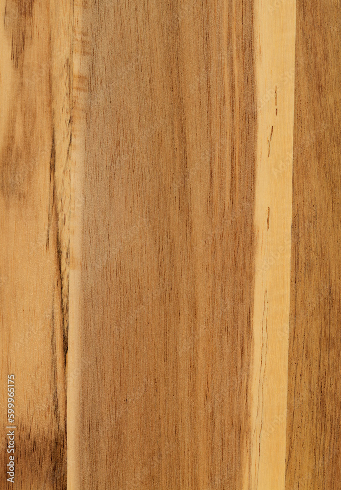 Mango tree wood texture with rings of different colors closeup, natural ...