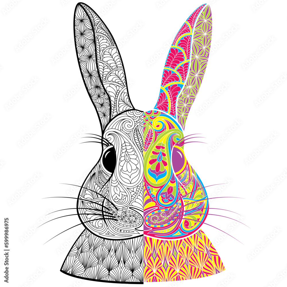 Rabbit head. Stylized colorful bunny portrait. Color and outline half ...